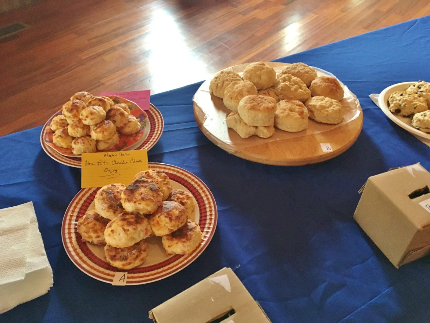 Autumn Harvest Festival and WV RoadKill Cook-Off - Marlinton, West Virginia