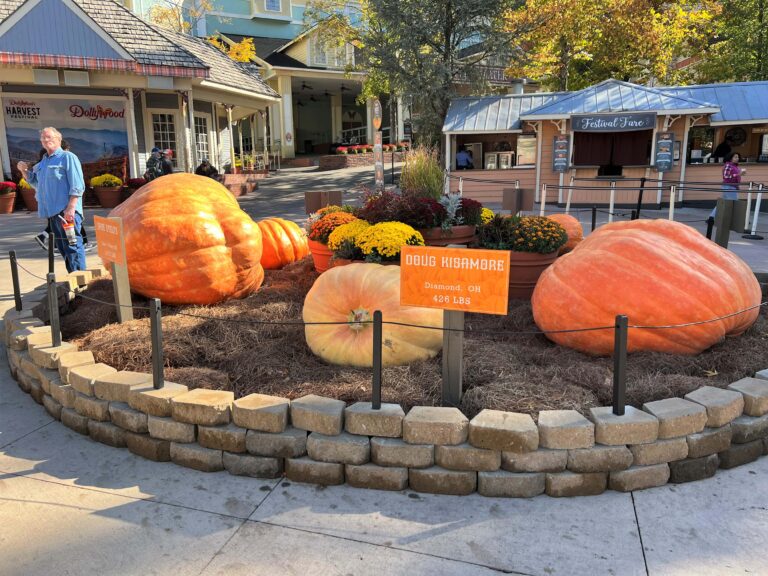 Dollywood Harvest Festival - Pigeon Forge, Tennessee