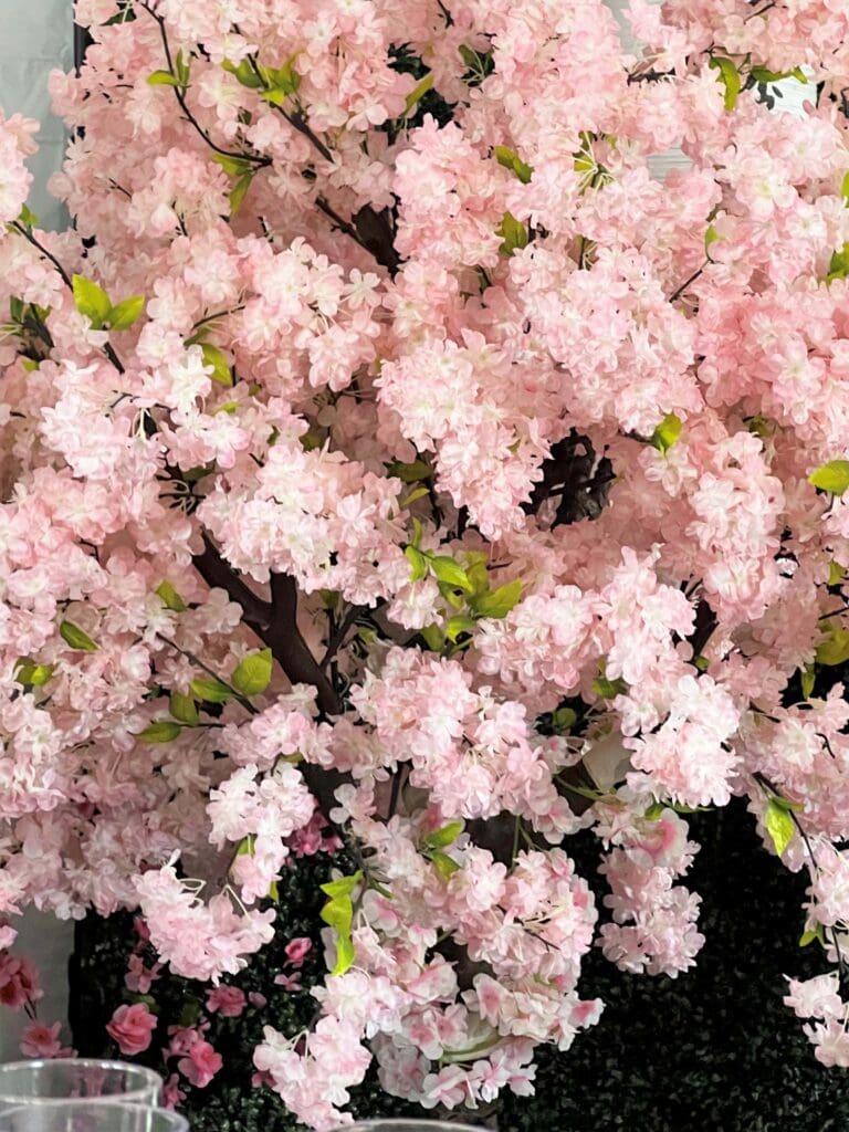 Sakura Matsuri Japanese Street Festival - Washington, DC